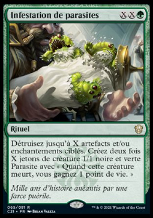 Infestation de parasites - magic-ville.com
